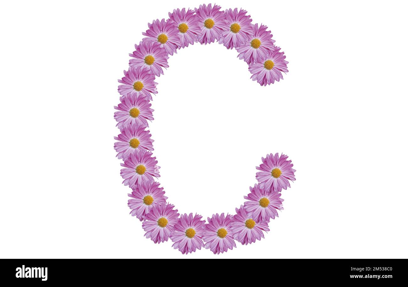 Letter C made with pink flower isolated on white background. Spring ...