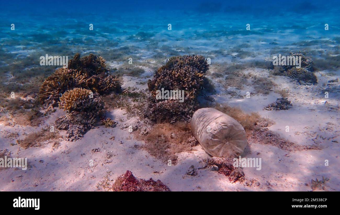 Marine plastic pollution Stock Photo - Alamy