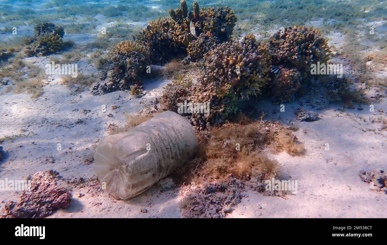 Marine plastic pollution Stock Photo - Alamy