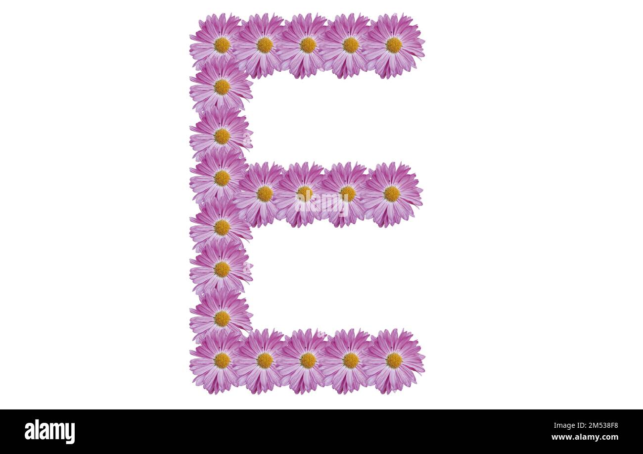 Letter E made with pink flower isolated on white background. Spring ...