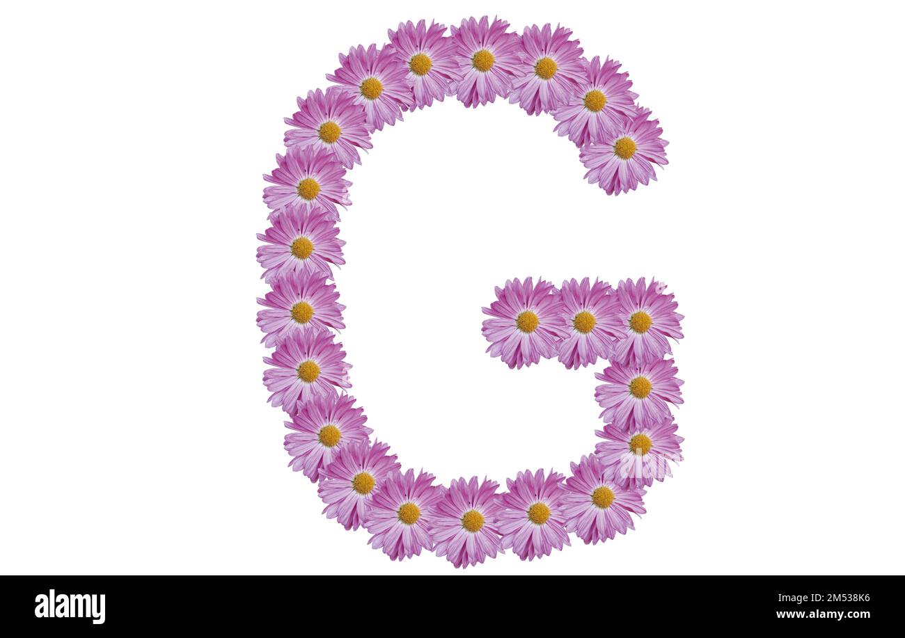 Letter G made with pink flower isolated on white background. Spring ...