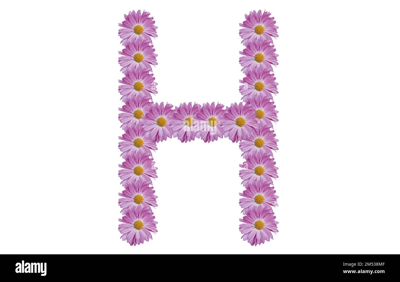 Letter H made with pink flower isolated on white background. Spring ...