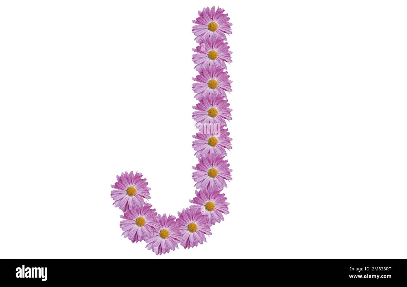 Letter J made with pink flower isolated on white background. Spring ...