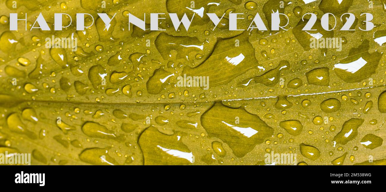 Greeting New Year 2023 nature background on yellow leaf background with ...