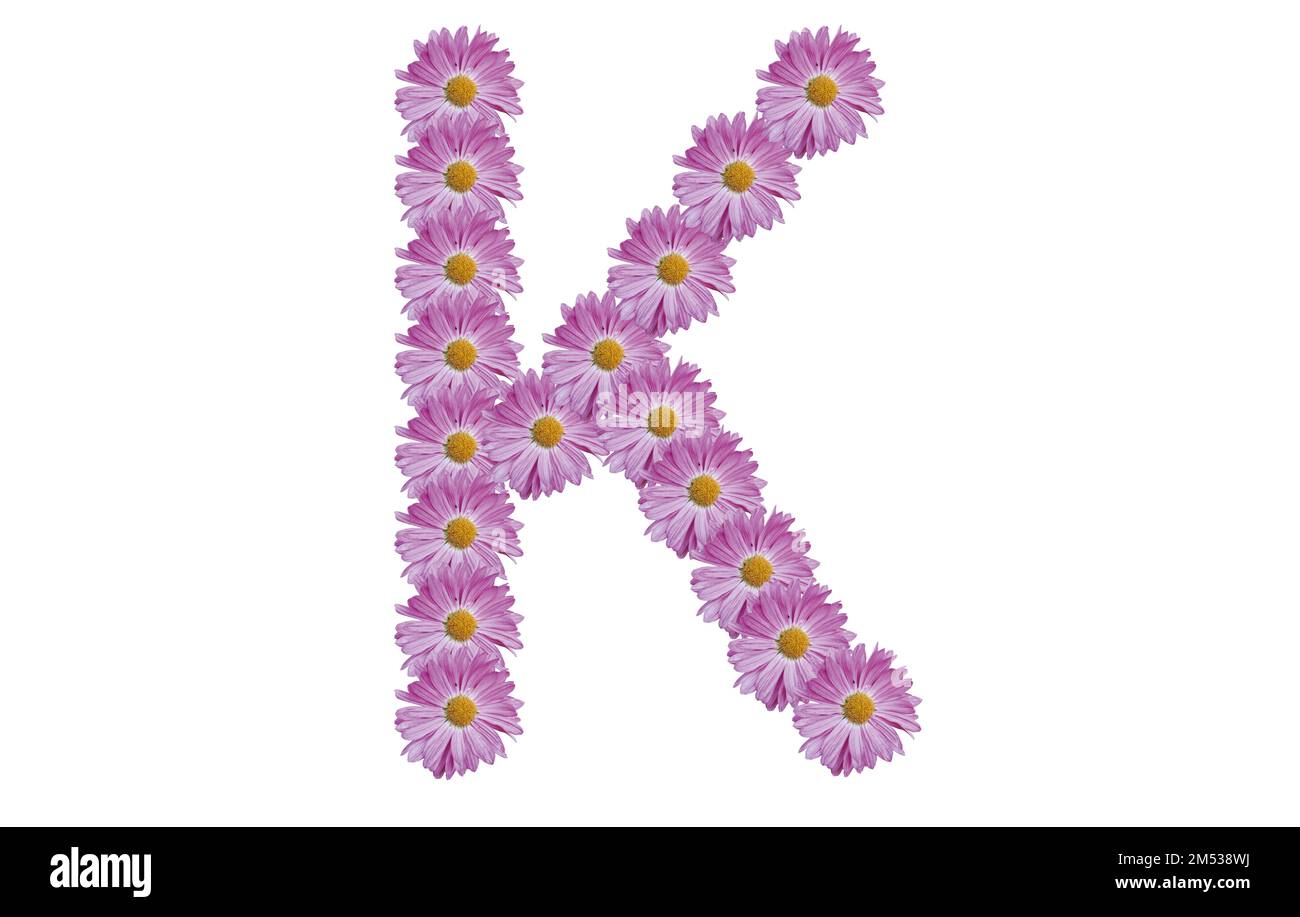 Letter K made with pink flower isolated on white background. Spring ...