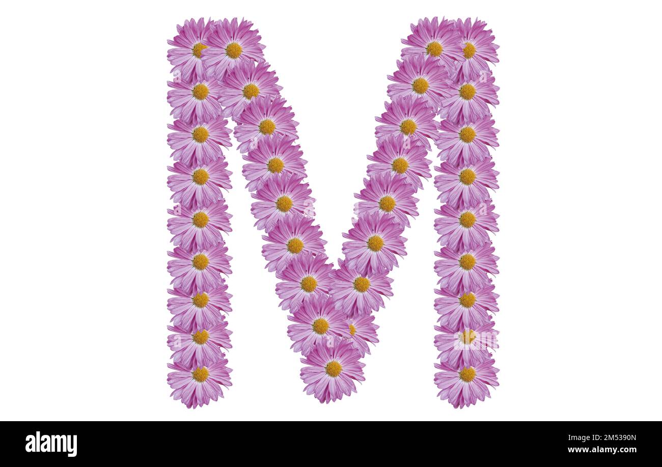 Letter M made with pink flower isolated on white background. Spring ...
