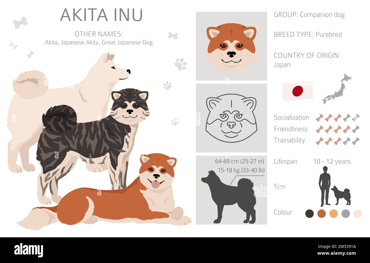 Akita Inu all colours clipart. Different coat colors set. Vector ...
