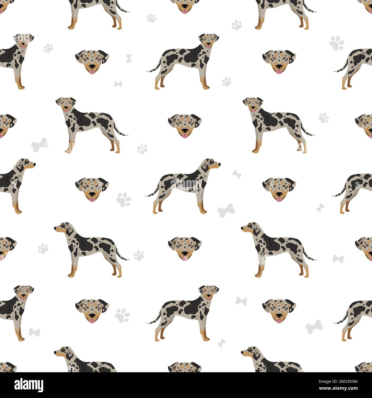 American leopard hound all coat colors seamless pattern. Vector ...