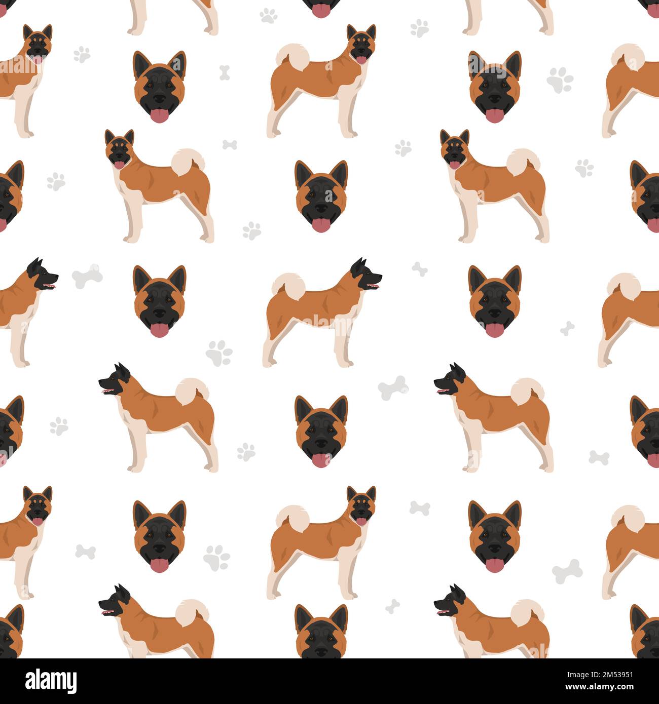 American Akita dog seamless pattern. Background graphic design. Vector ...