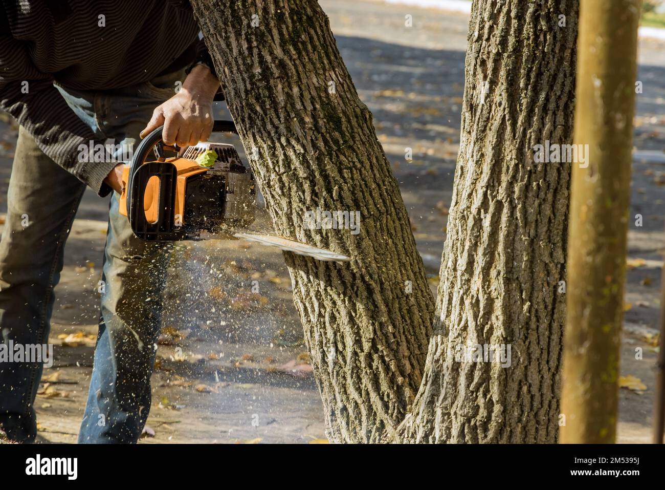 Service man uses chainsaw hi-res stock photography and images - Alamy