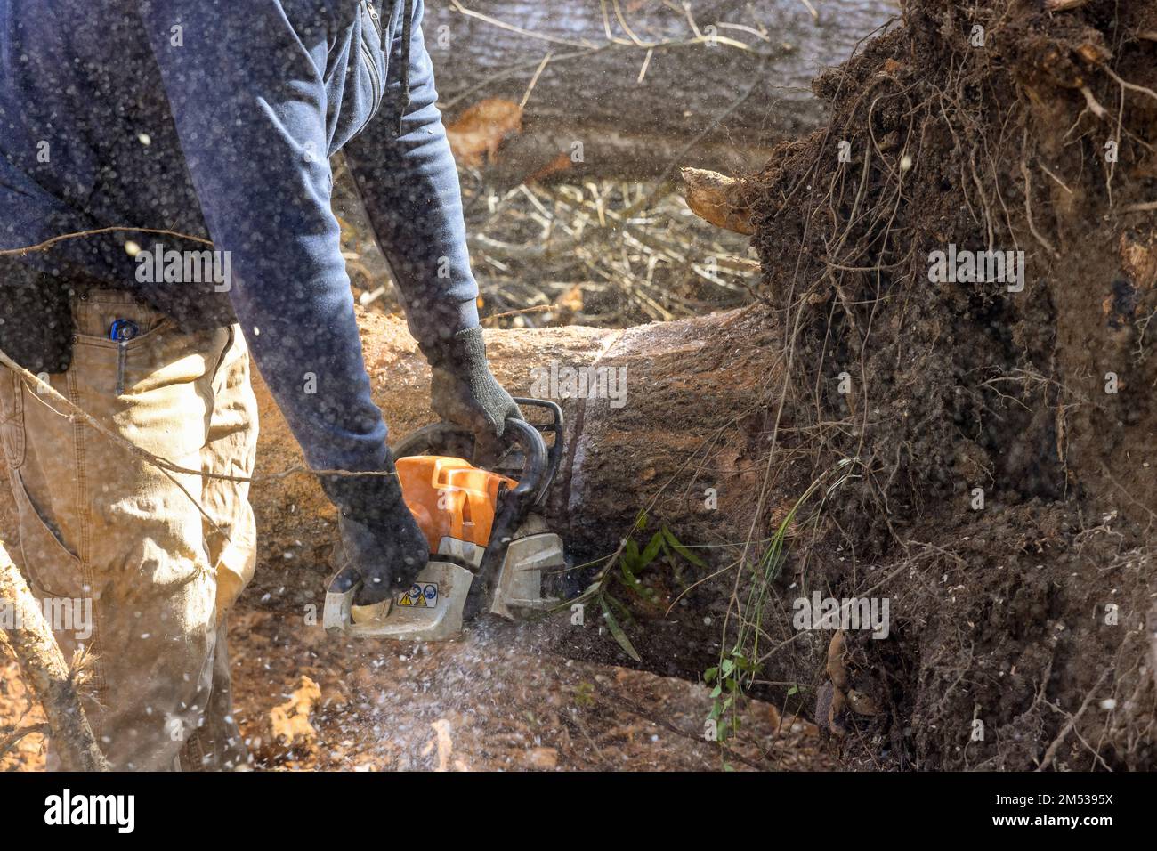 An eco disaster is created by service worker who uses chainsaw to cut ...