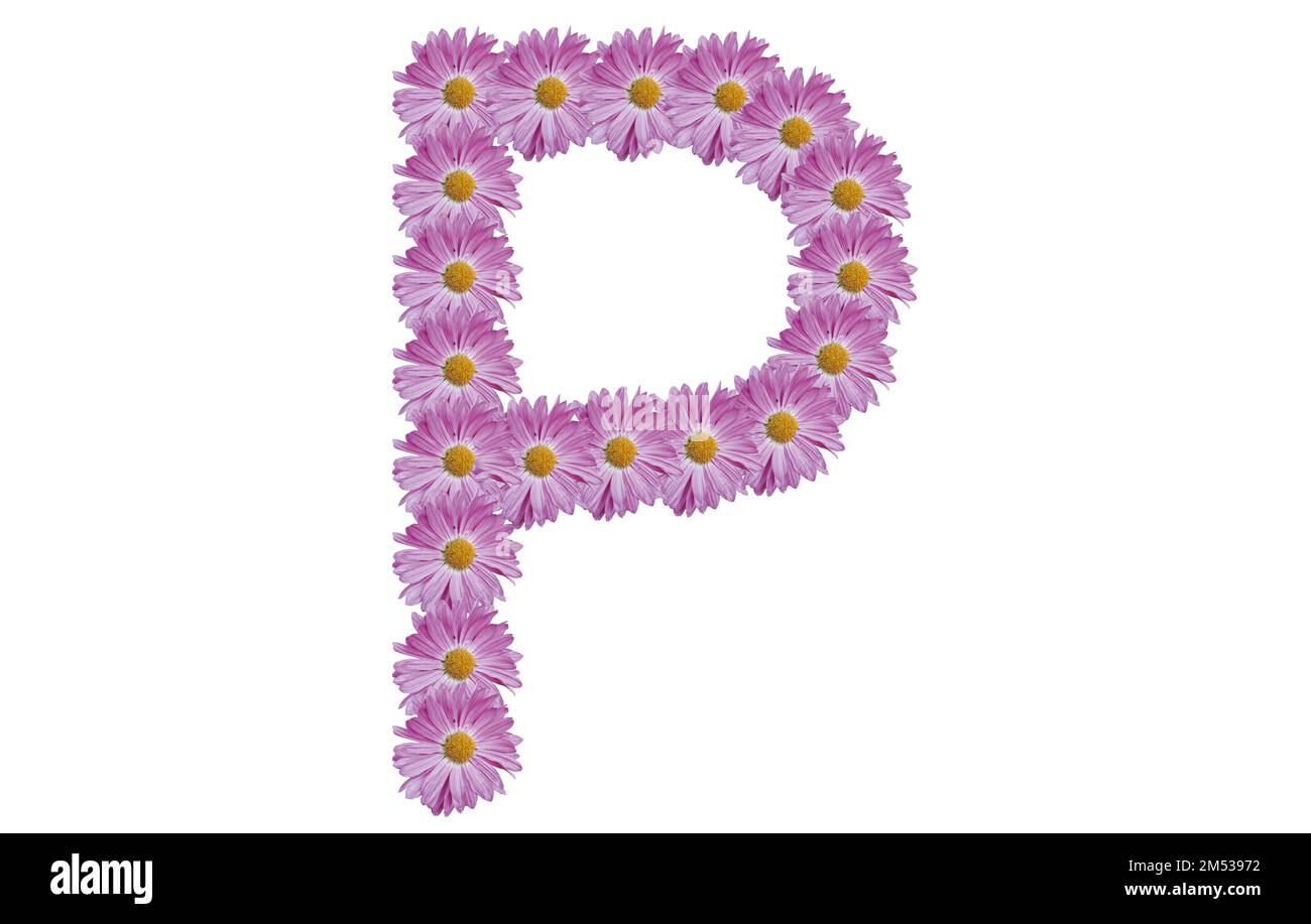 Letter P made with pink flower isolated on white background. Spring ...