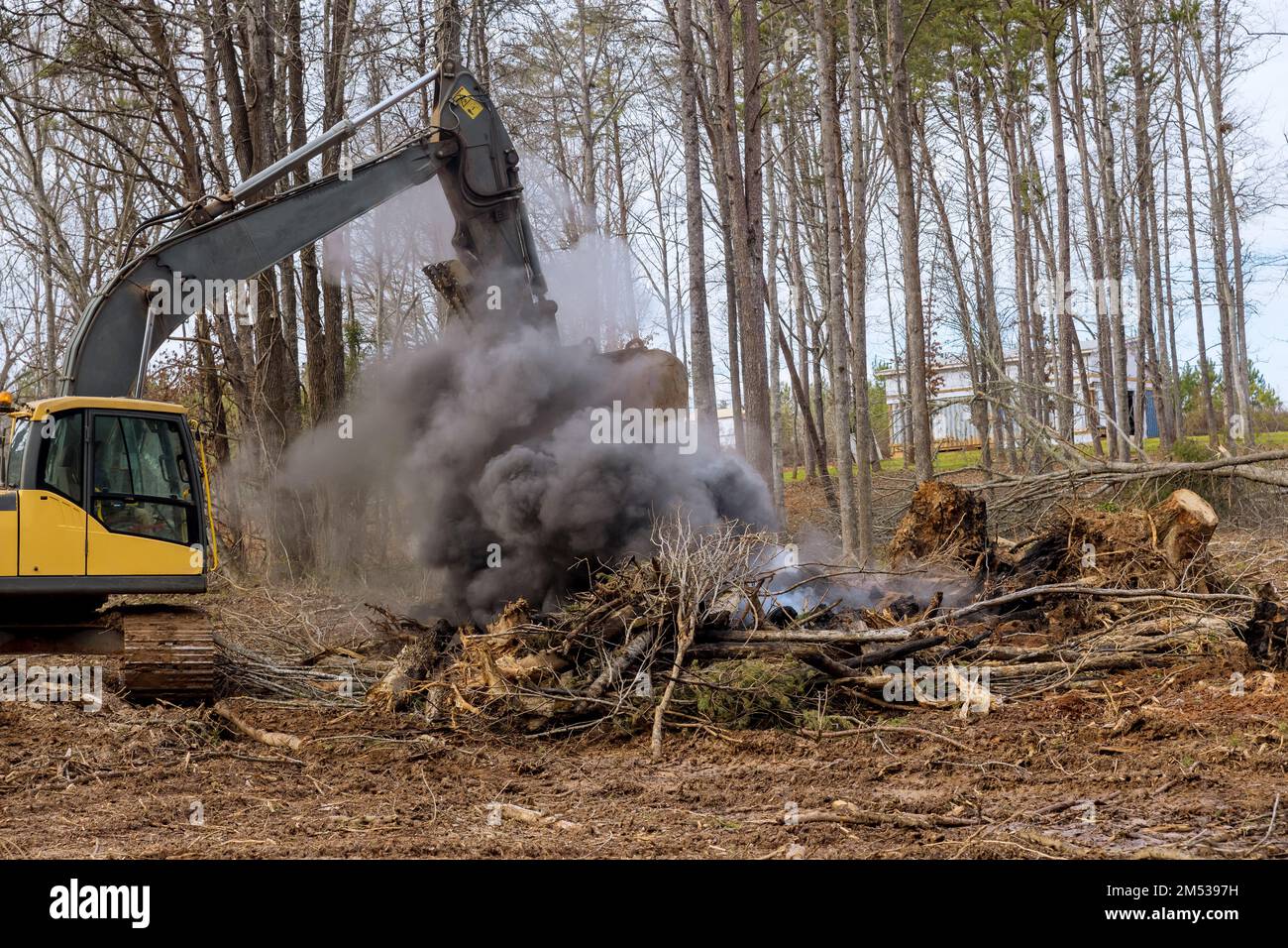 In construction site an burning the uprooted forest for construction to ...