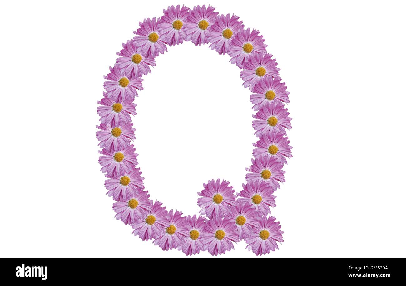 Letter Q made with pink flower isolated on white background. Spring ...