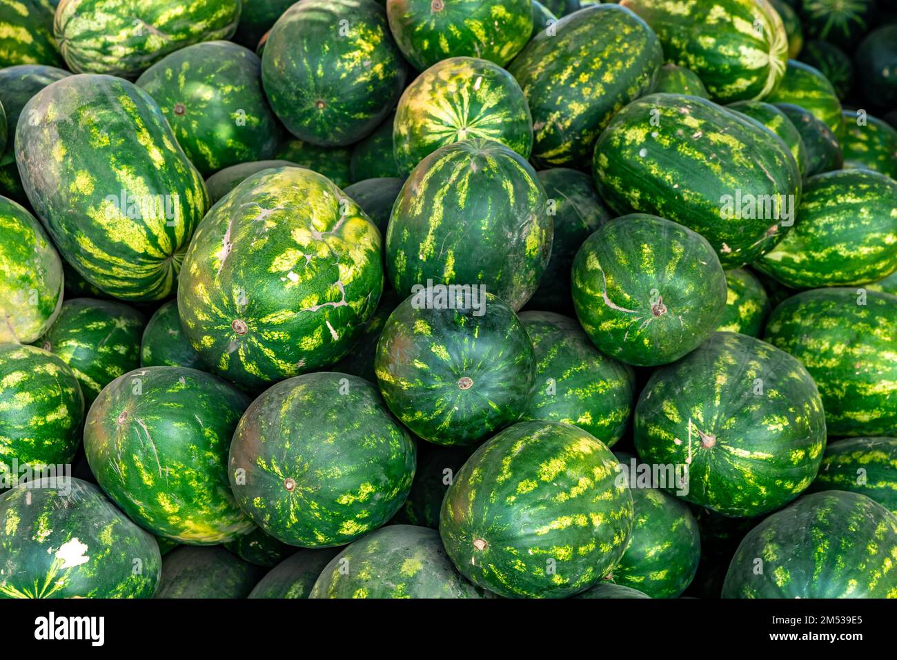 Watermelons in a pile at the market Stock Photo - Alamy