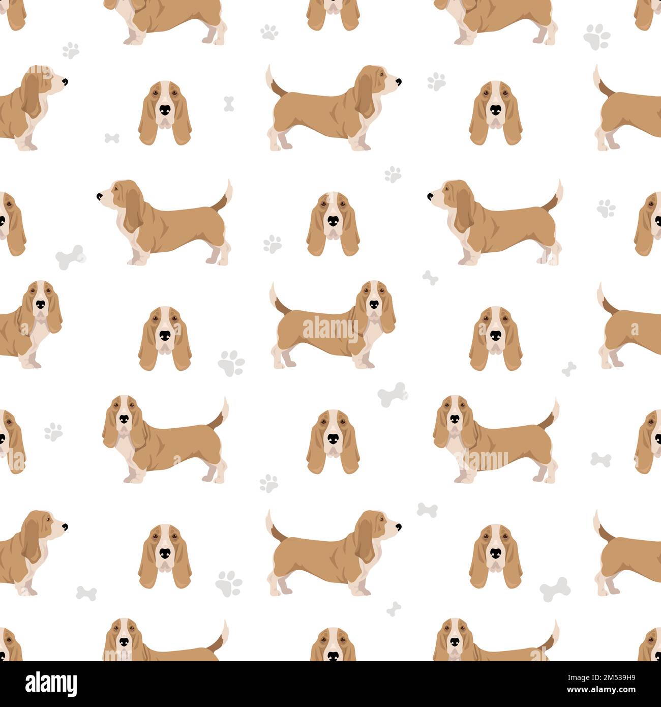 Basset Hound dog seamless pattern. Vector illustration Stock Vector ...