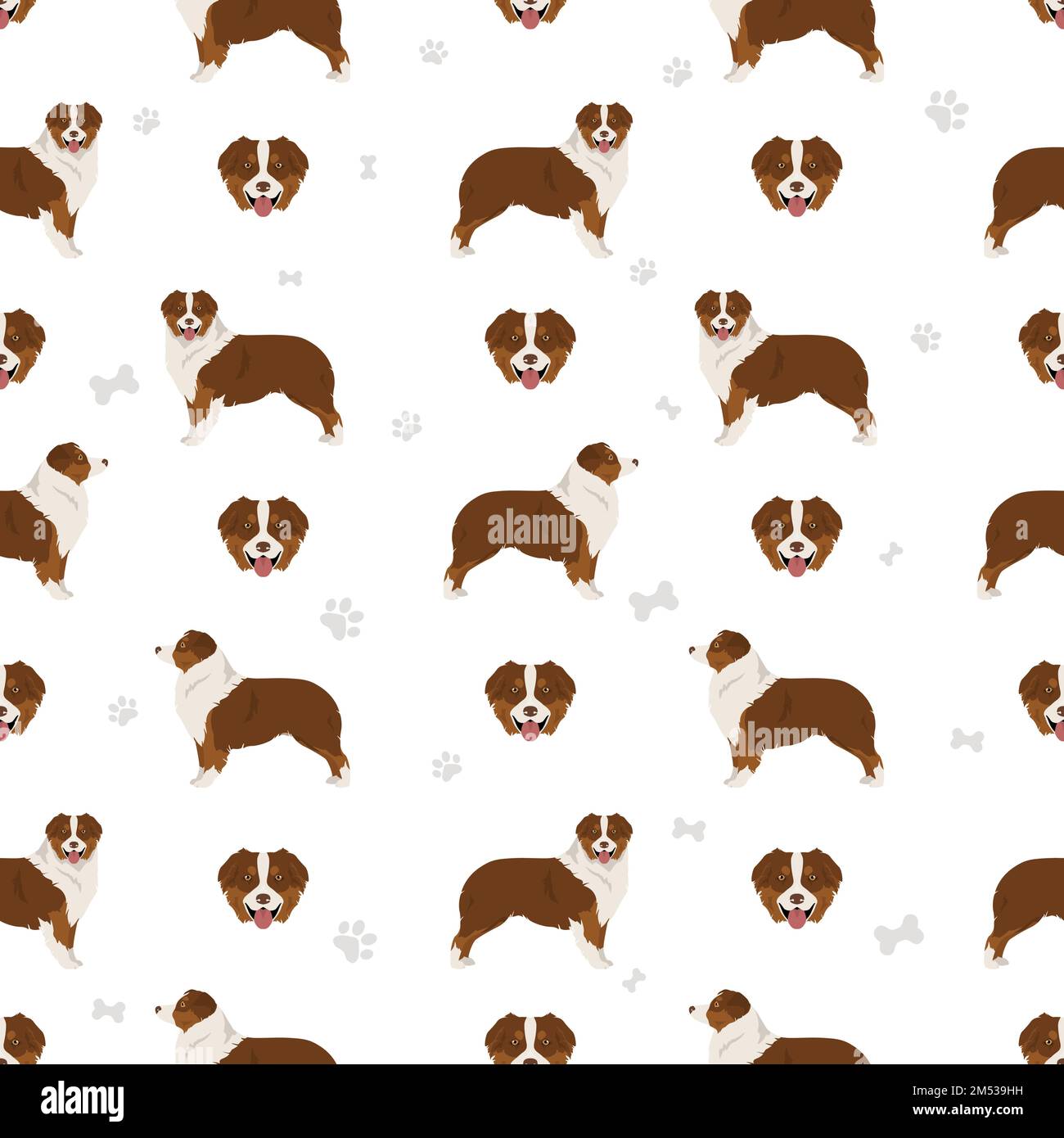 Red merle australian shepherd Stock Vector Images - Alamy