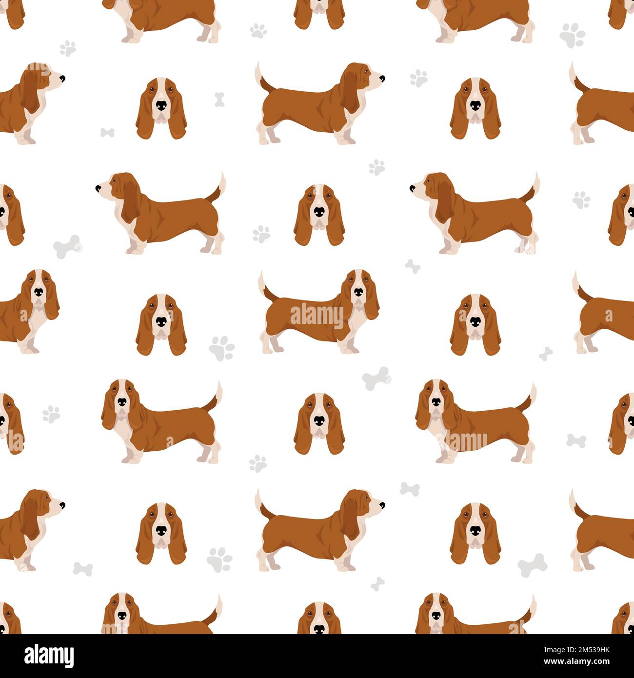 Bicolor hound Stock Vector Images - Alamy