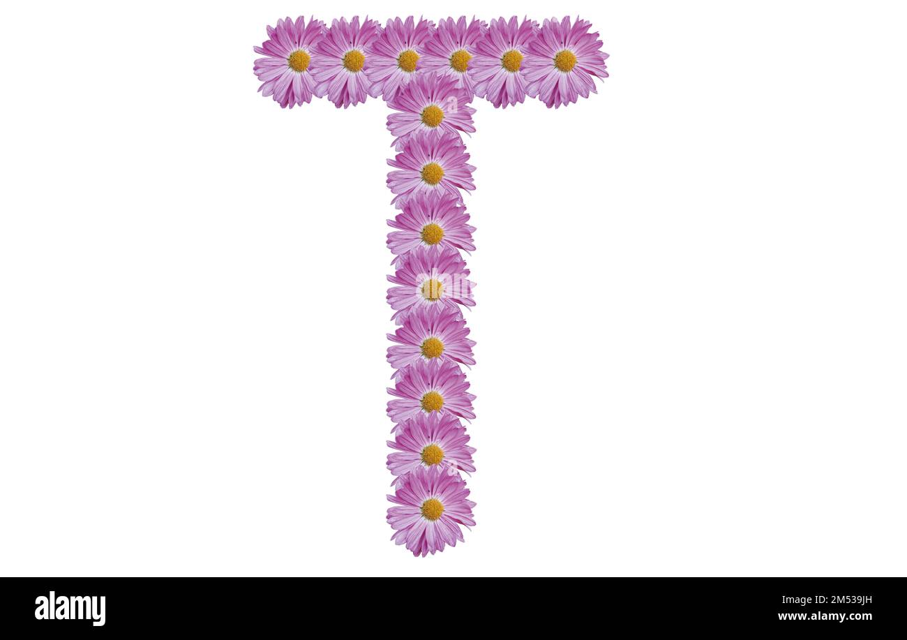 Letter T made with pink flower isolated on white background. Spring ...