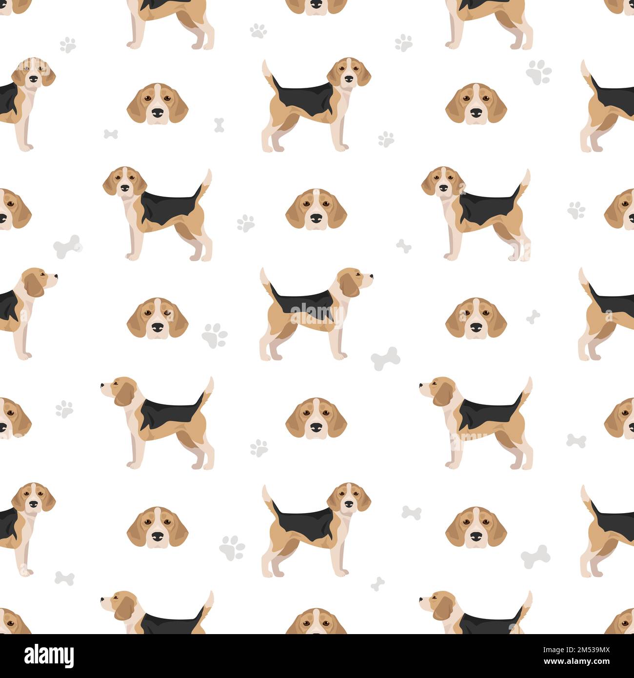 Beagle dog seamless pattern. Vector illustration Stock Vector Image ...