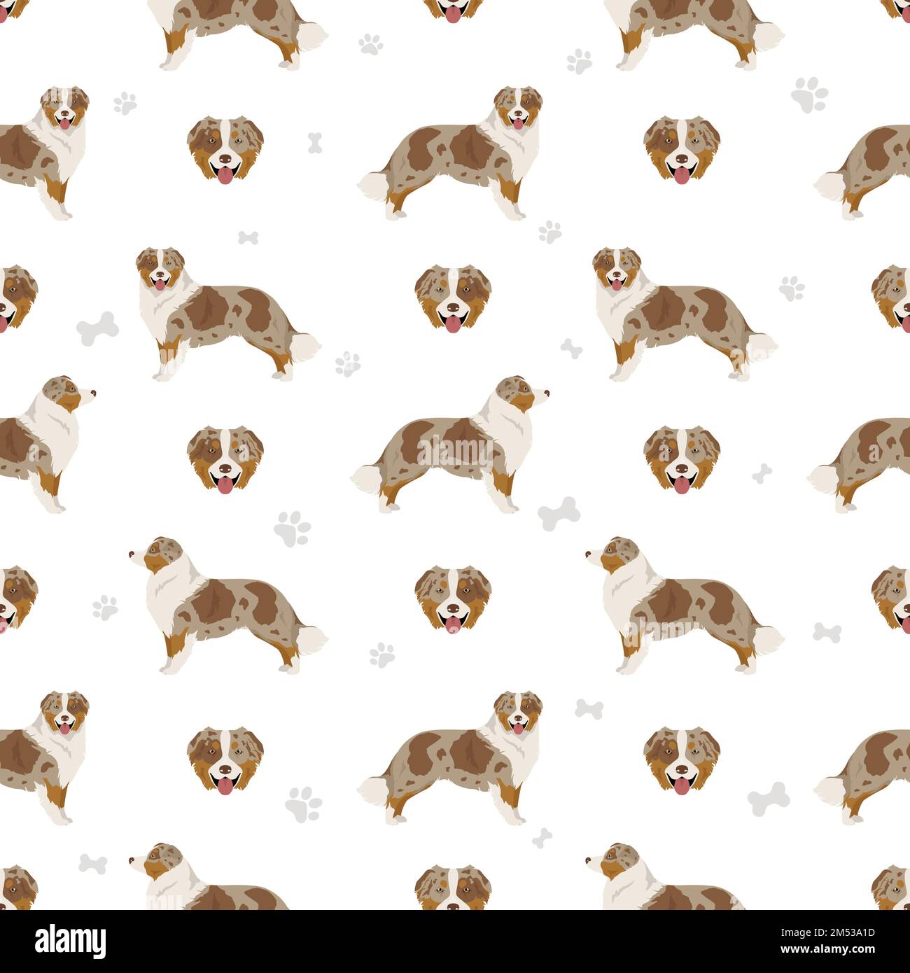 Australian shepherd seamless pattern. Background Aussie set. Vector ...
