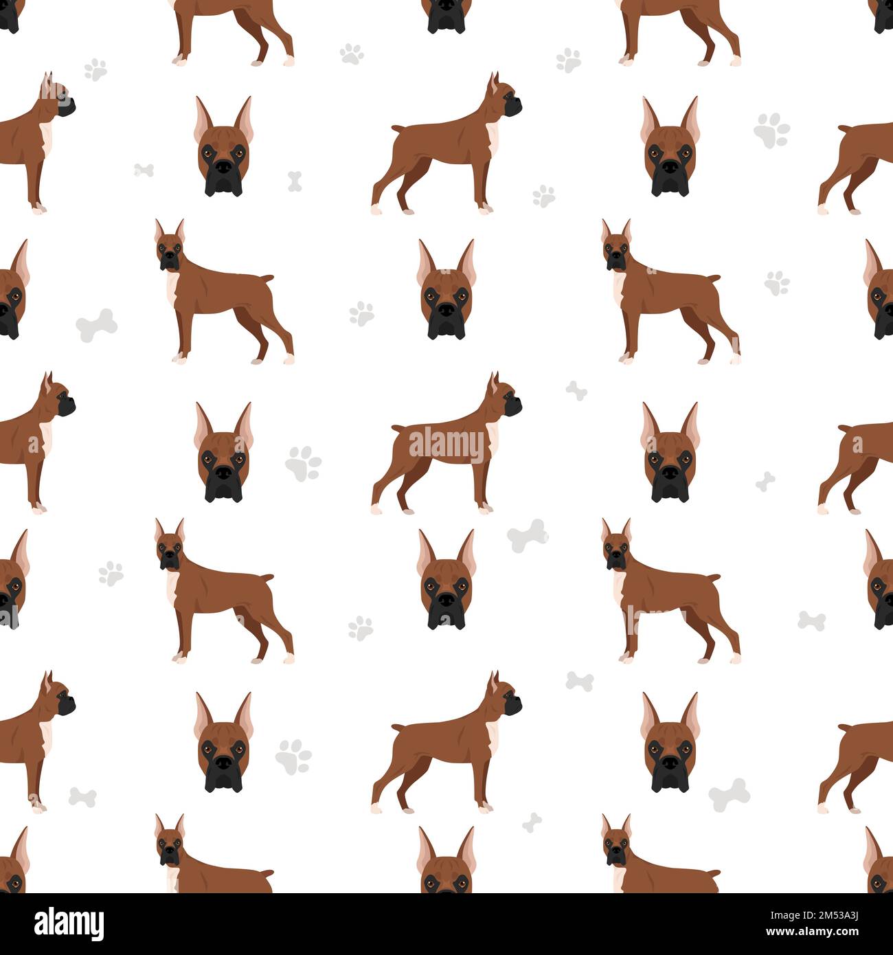 Boxer dog brown colour Stock Vector Images - Alamy