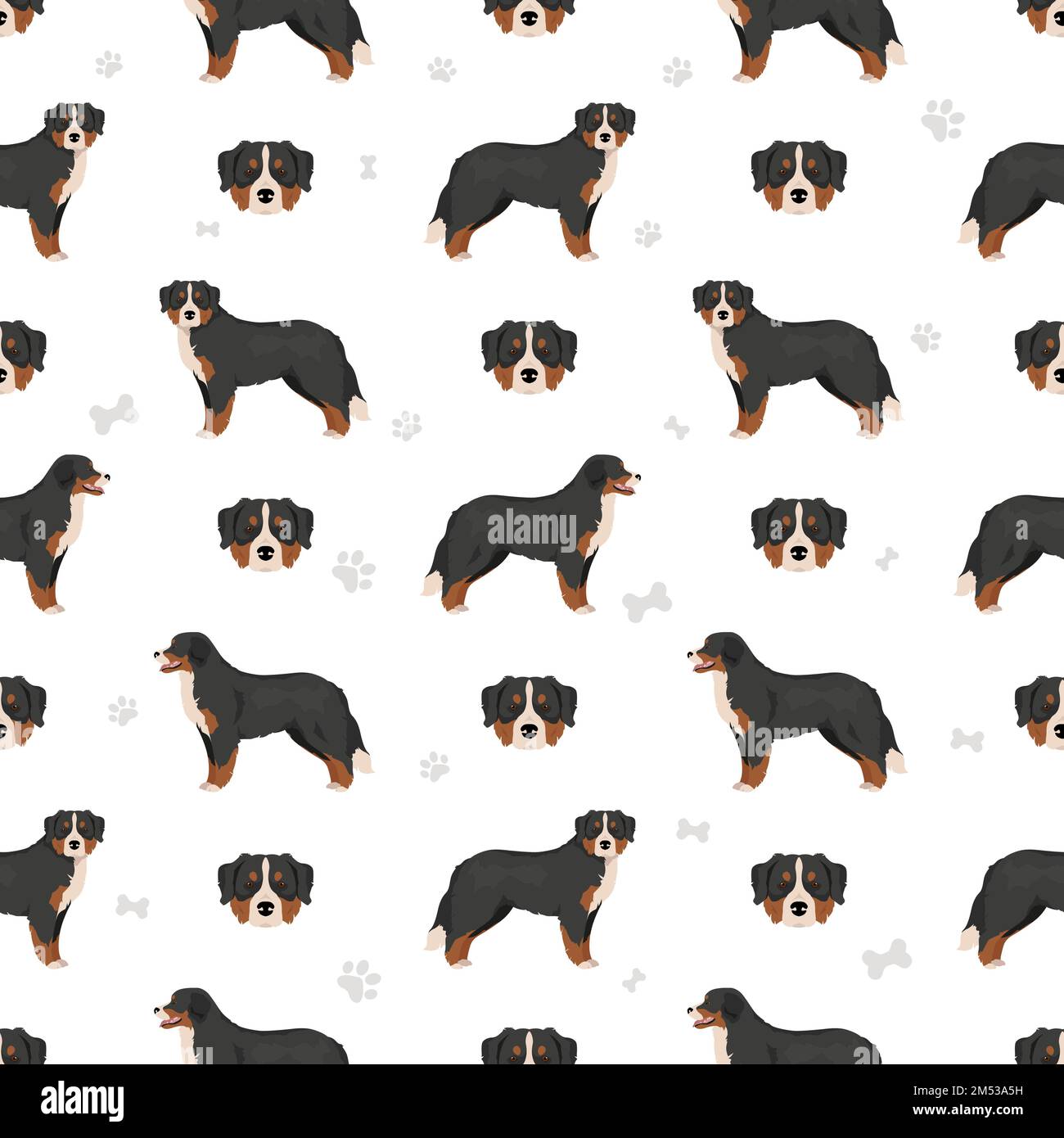 Bernese Mountain dog seamless pattern. Vector illustration Stock Vector ...