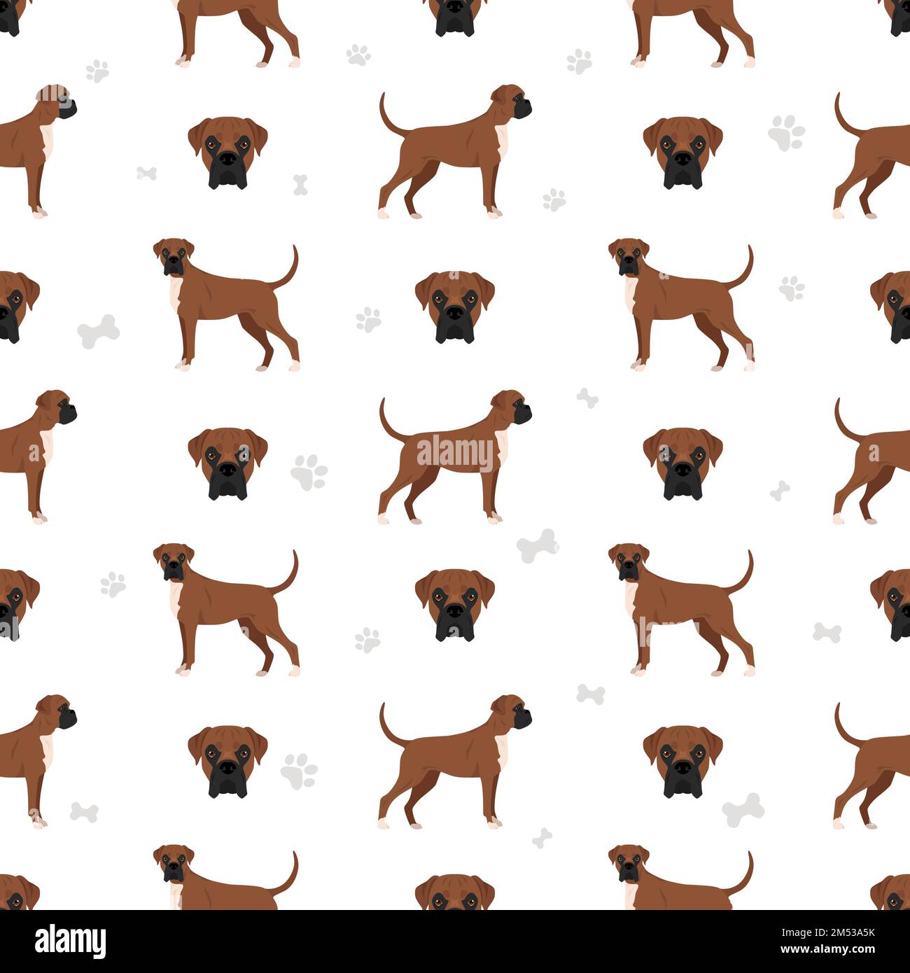 Boxer dog brown colour Stock Vector Images - Alamy