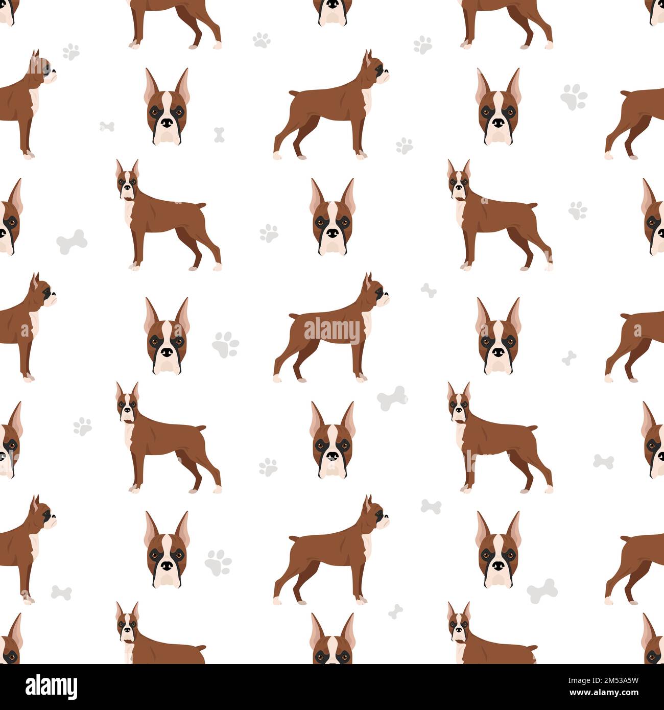 Boxer dog seamless pattern. Vector illustration Stock Vector Image ...