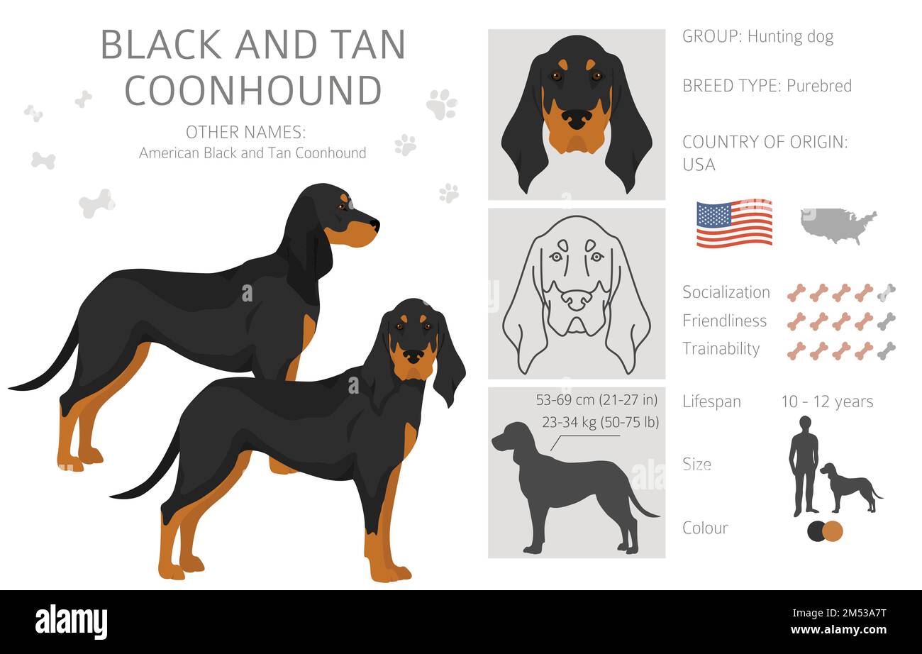 Black and tan coonhound clipart. Different coat colors and poses set ...