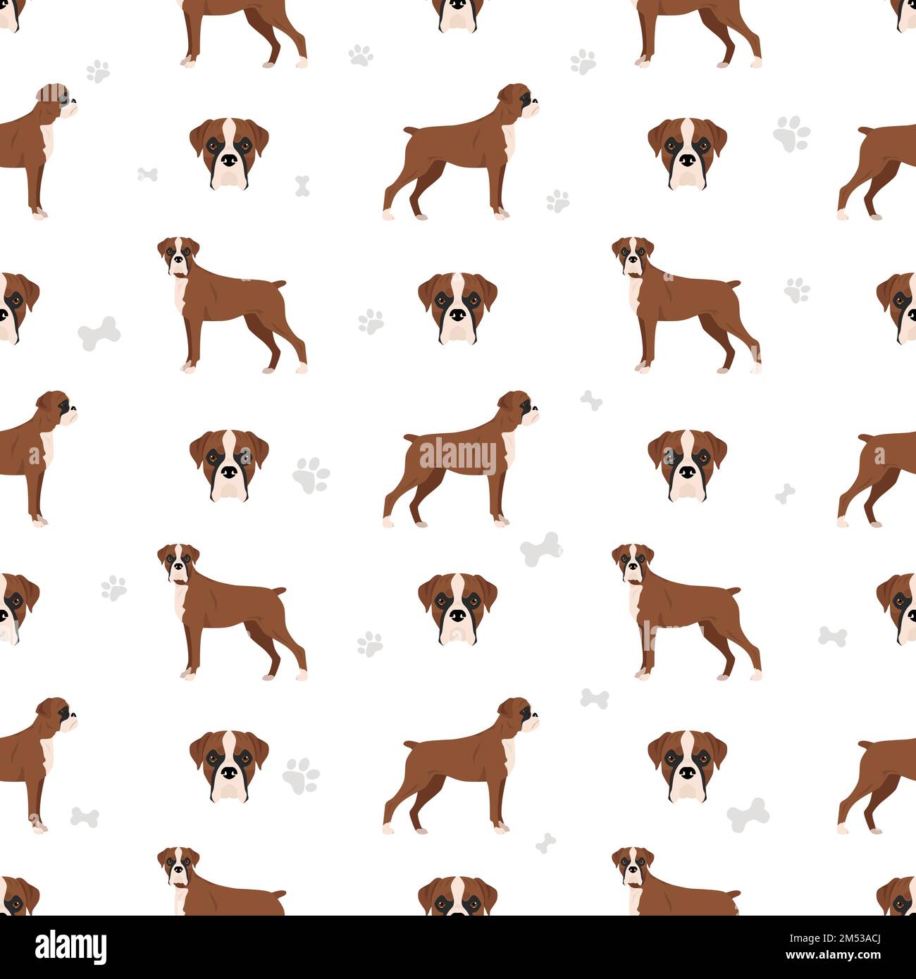 Boxer dog seamless pattern. Vector illustration Stock Vector Image ...