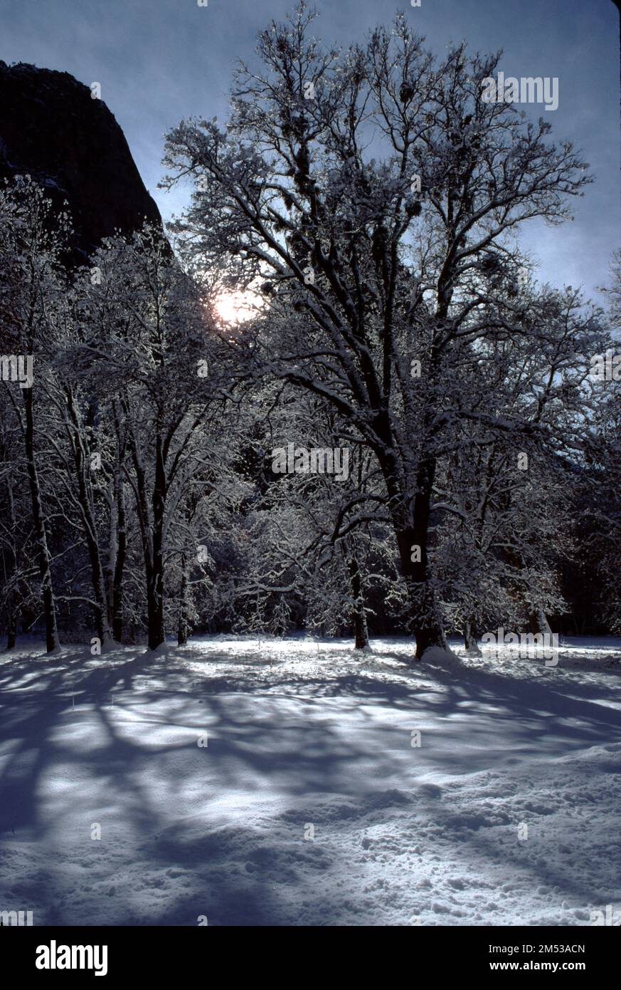 Yosemite National Park CA USA 12/1985 winter mantle of snow and Badger ...