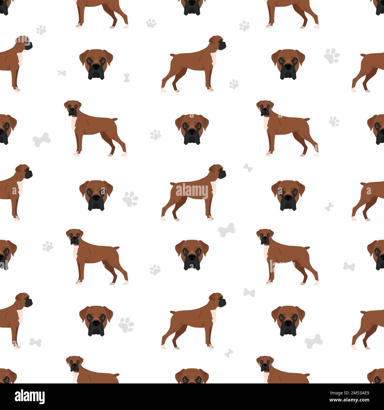 Boxer dog seamless pattern. Vector illustration Stock Vector Image ...