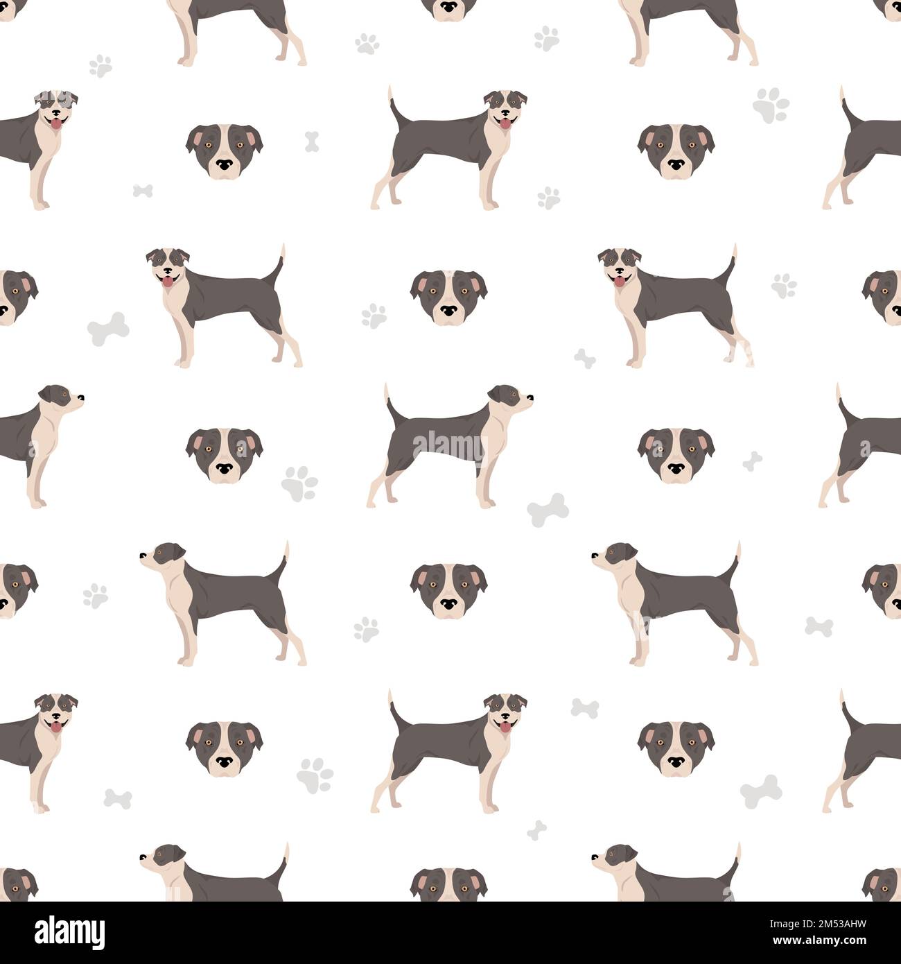 American staffordshire terrier seamless pattern. Vector illustration ...