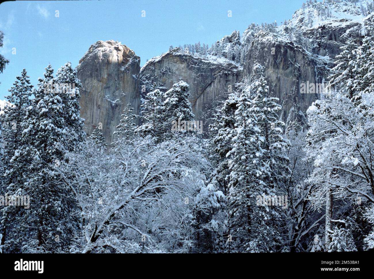 Yosemite National Park CA USA 12/1985 winter mantle of snow and Badger ...