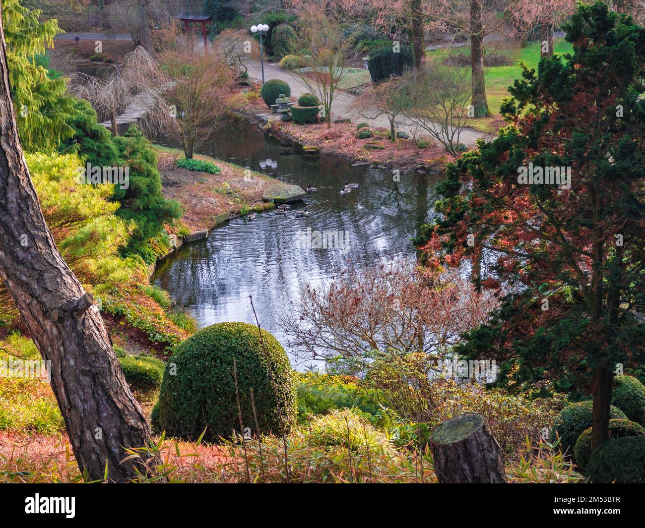 Traditional Japanese Garden,Beautiful calm scene in Fall Stock Photo ...