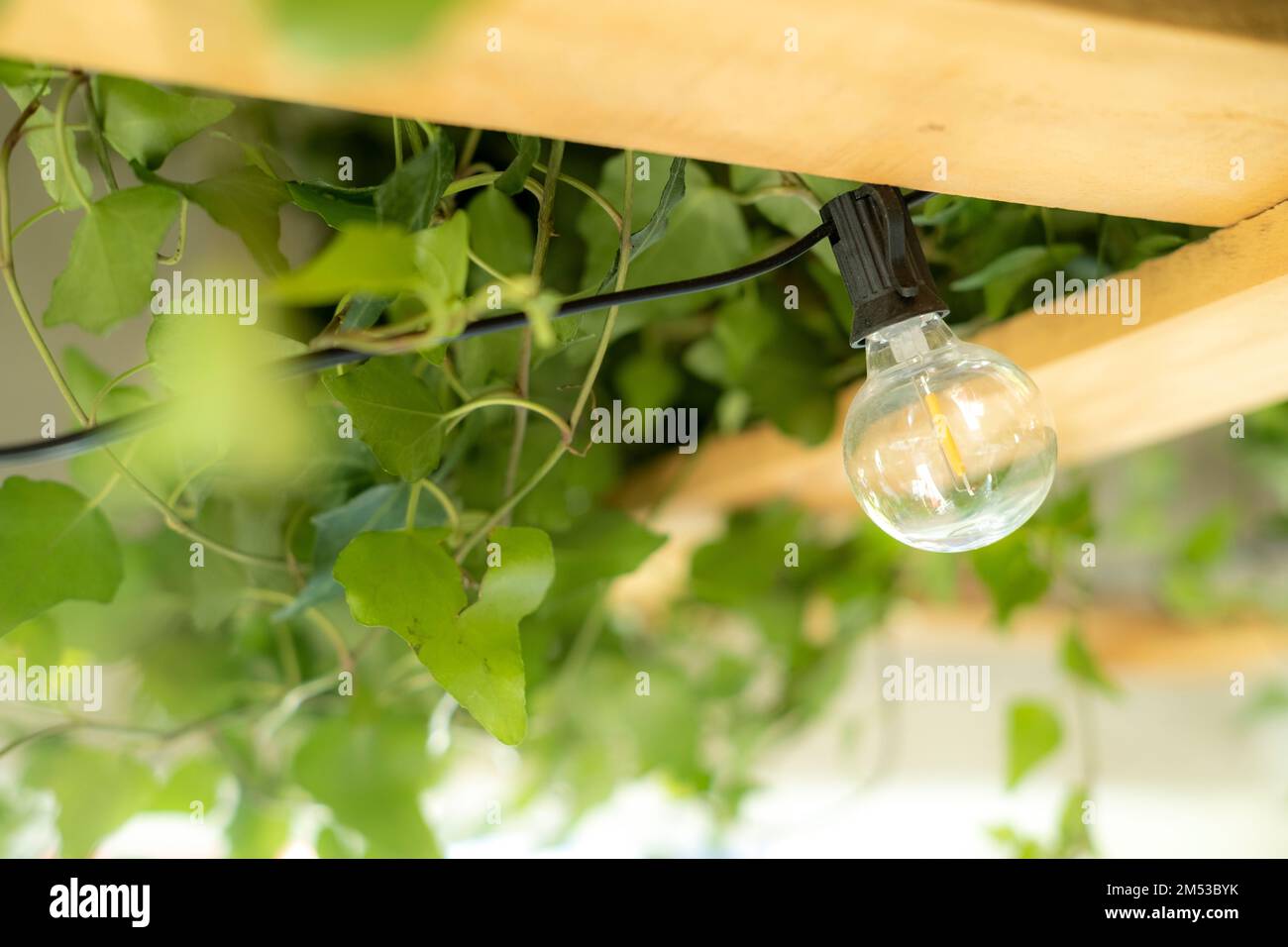A closeup shot of a light bulb seen hanging on the ceiling of an indoor ...