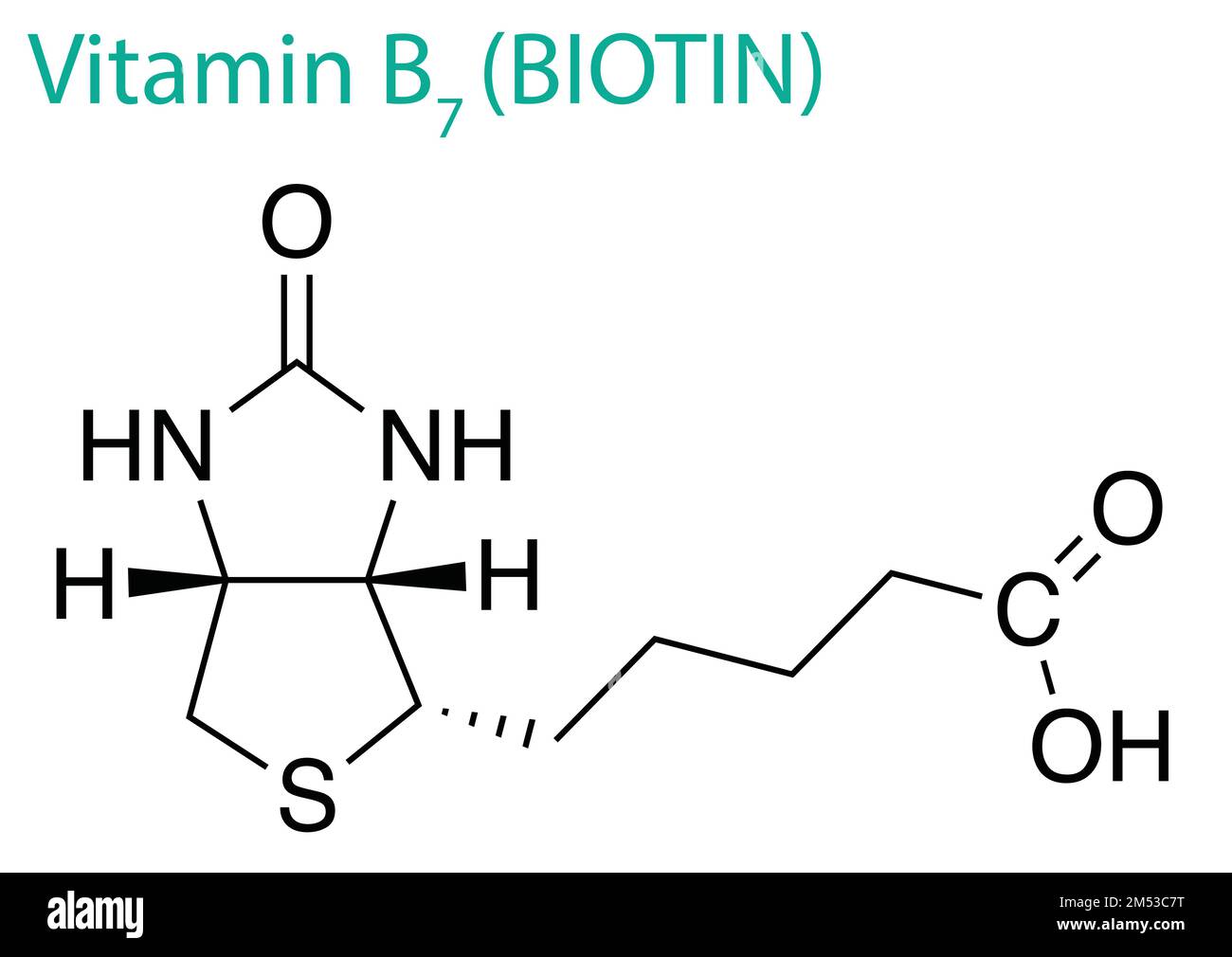 An illustration of a Vitamin B7 molecule isolated on a white background ...