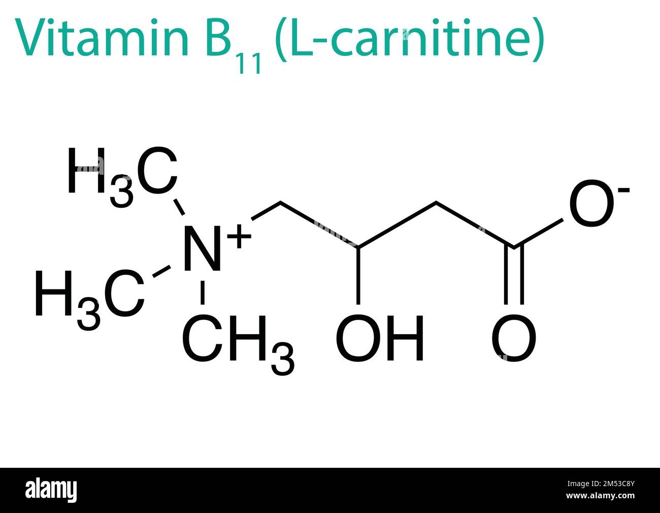 An illustration of a Vitamin B11 molecule isolated on a white ...