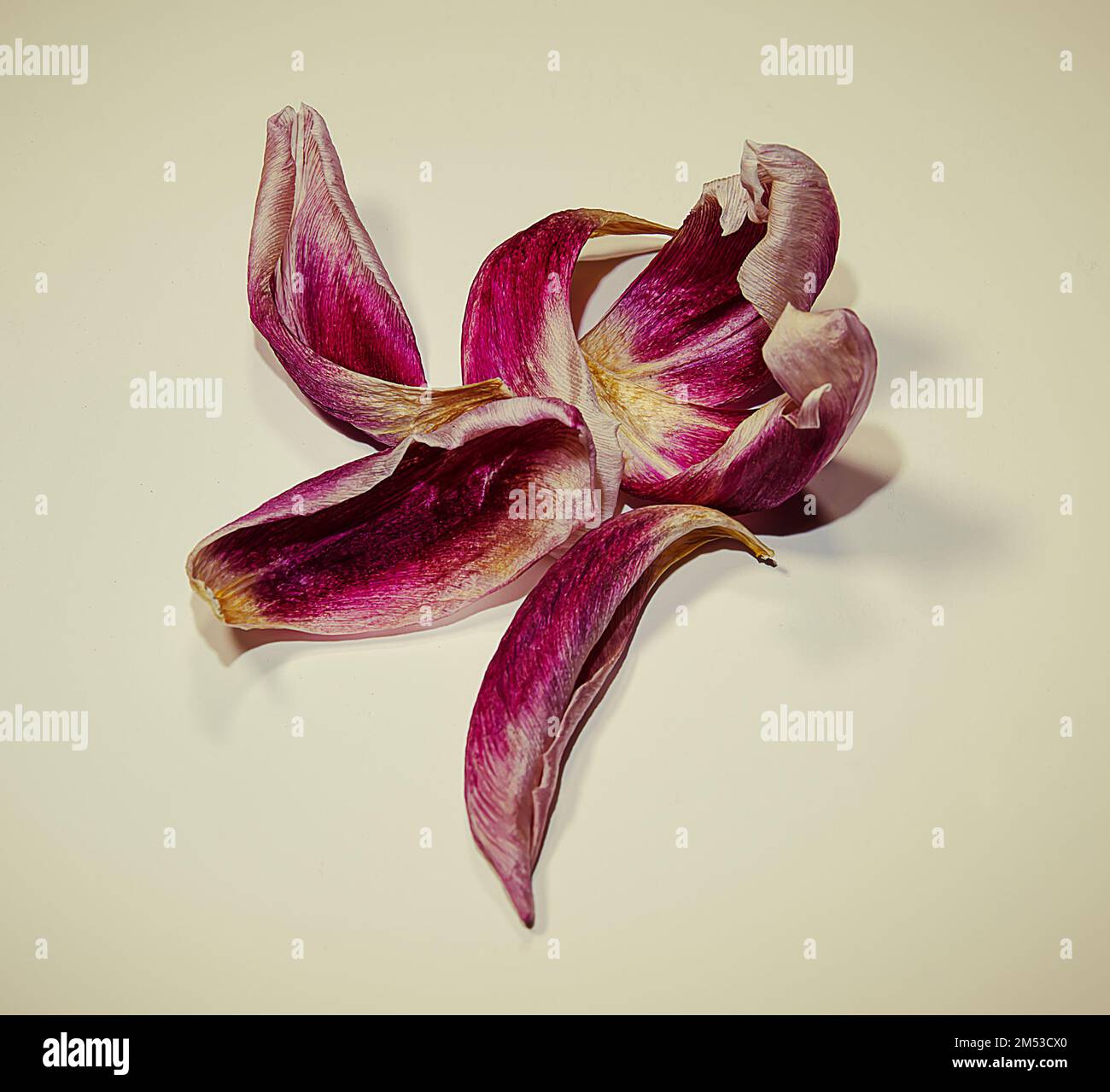 Minimalist images with copy space Stock Photo - Alamy