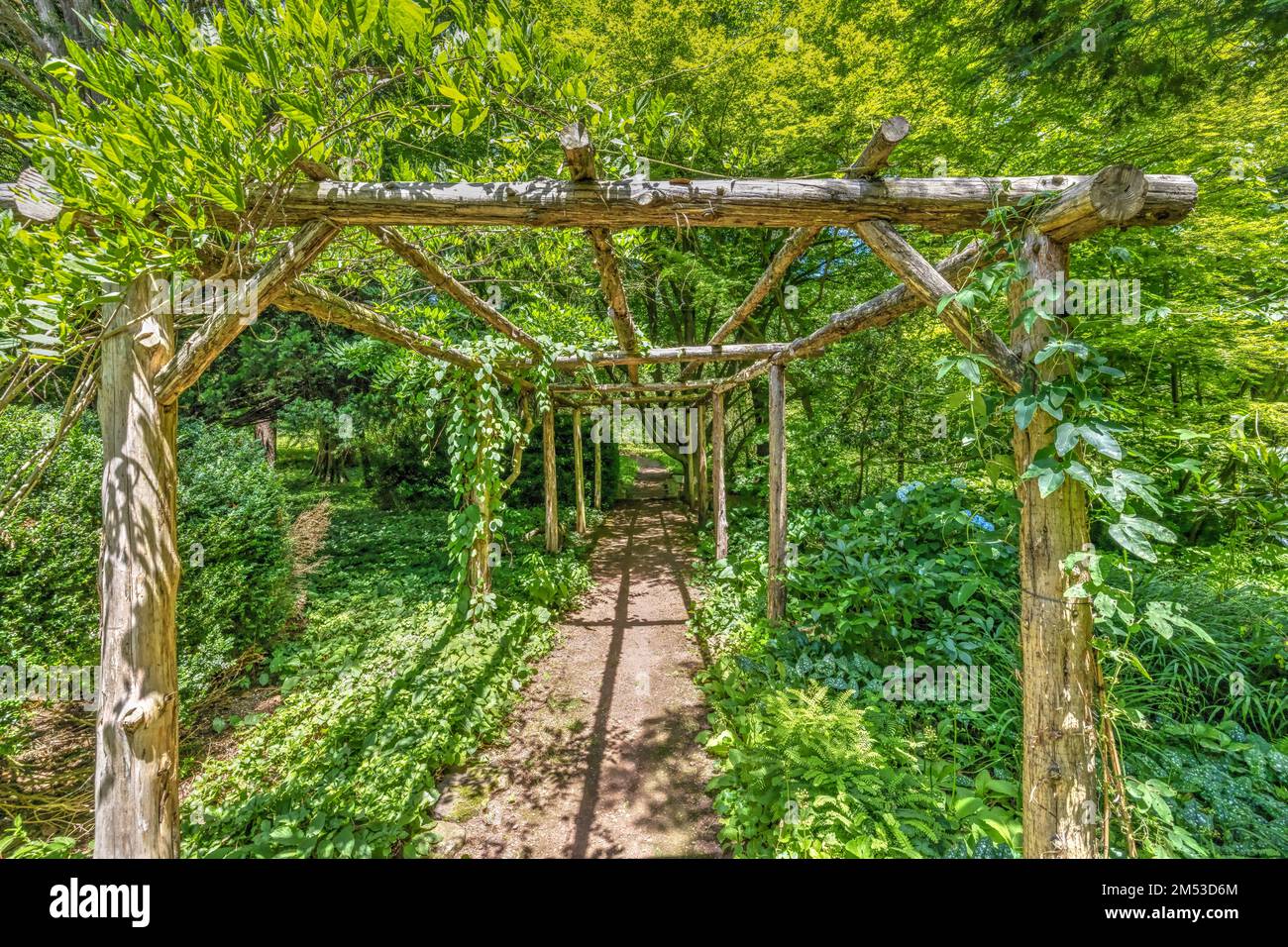Old wooden pergola hi-res stock photography and images - Alamy