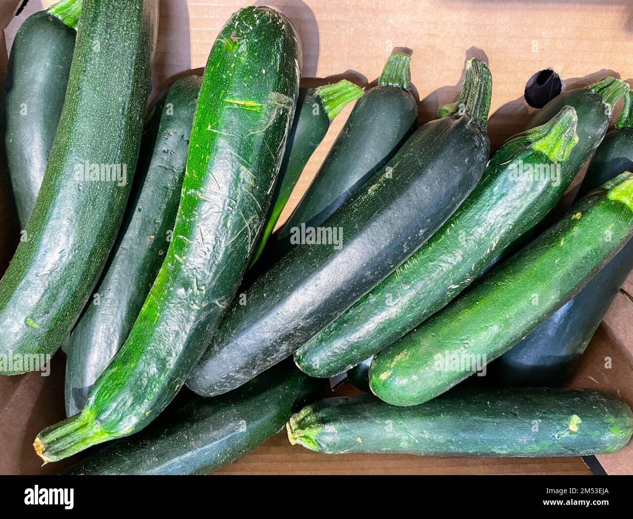 Long courgette zucchini cucurbita pepo hi-res stock photography and ...