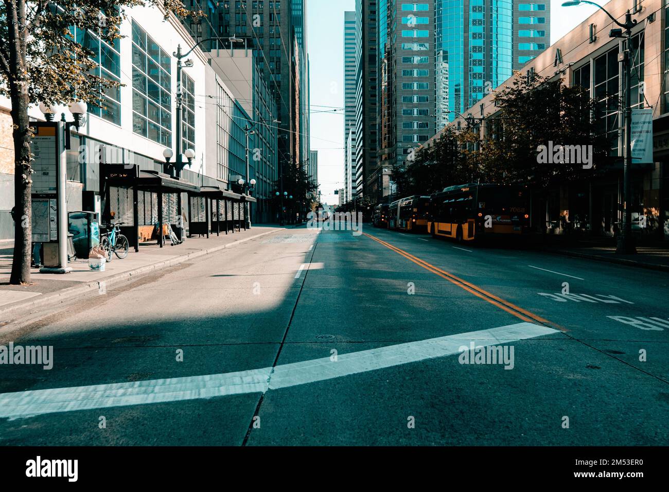 A quiet street with modern buildings and buses in traffic in Seattle ...