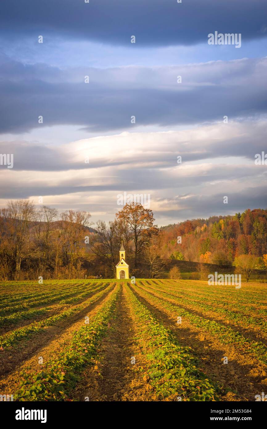 Agricultural fields and yellow little chapel in the charming town of ...