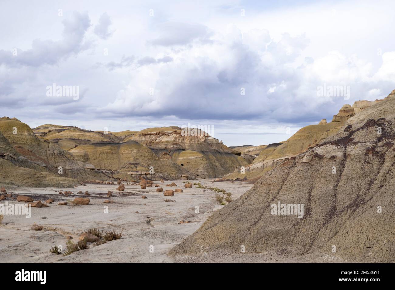 Photograph of the Bisti/De-Na-Zin Wilderness Area, a beautiful site of ...