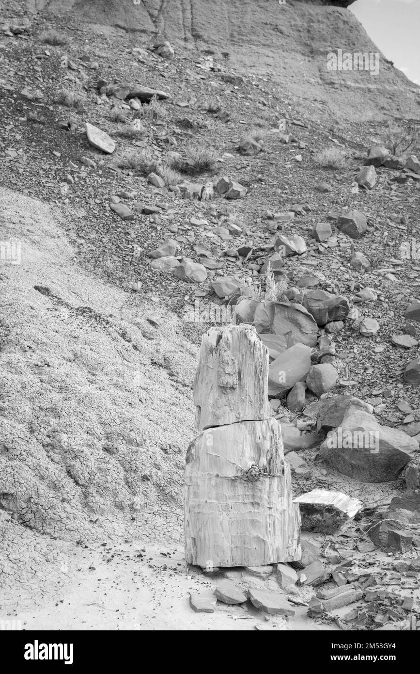 Photograph of the Bisti/De-Na-Zin Wilderness Area, a beautiful site of ...