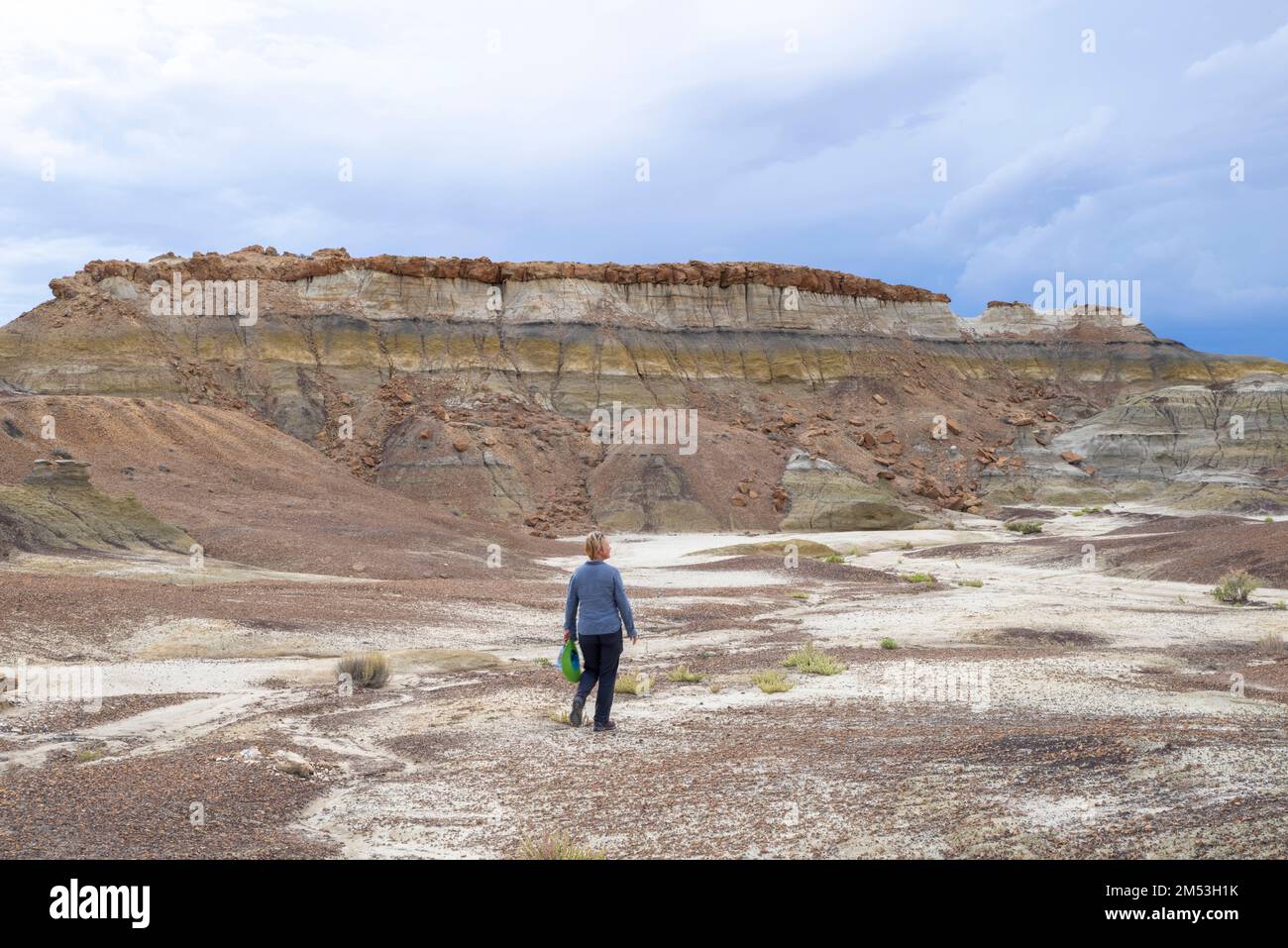 Photograph of the Bisti/De-Na-Zin Wilderness Area, a beautiful site of ...