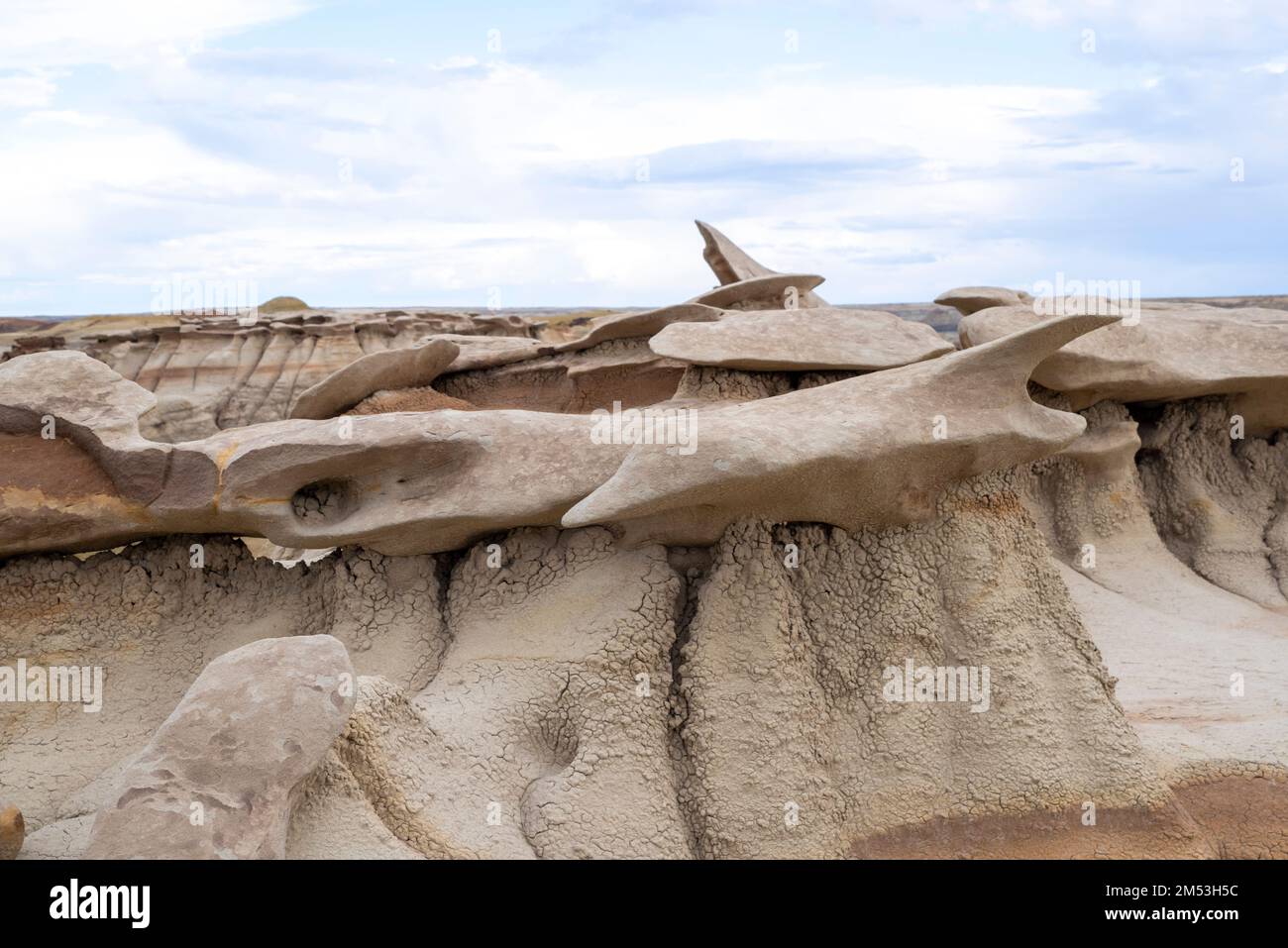Photograph of the Bisti/De-Na-Zin Wilderness Area, a beautiful site of ...