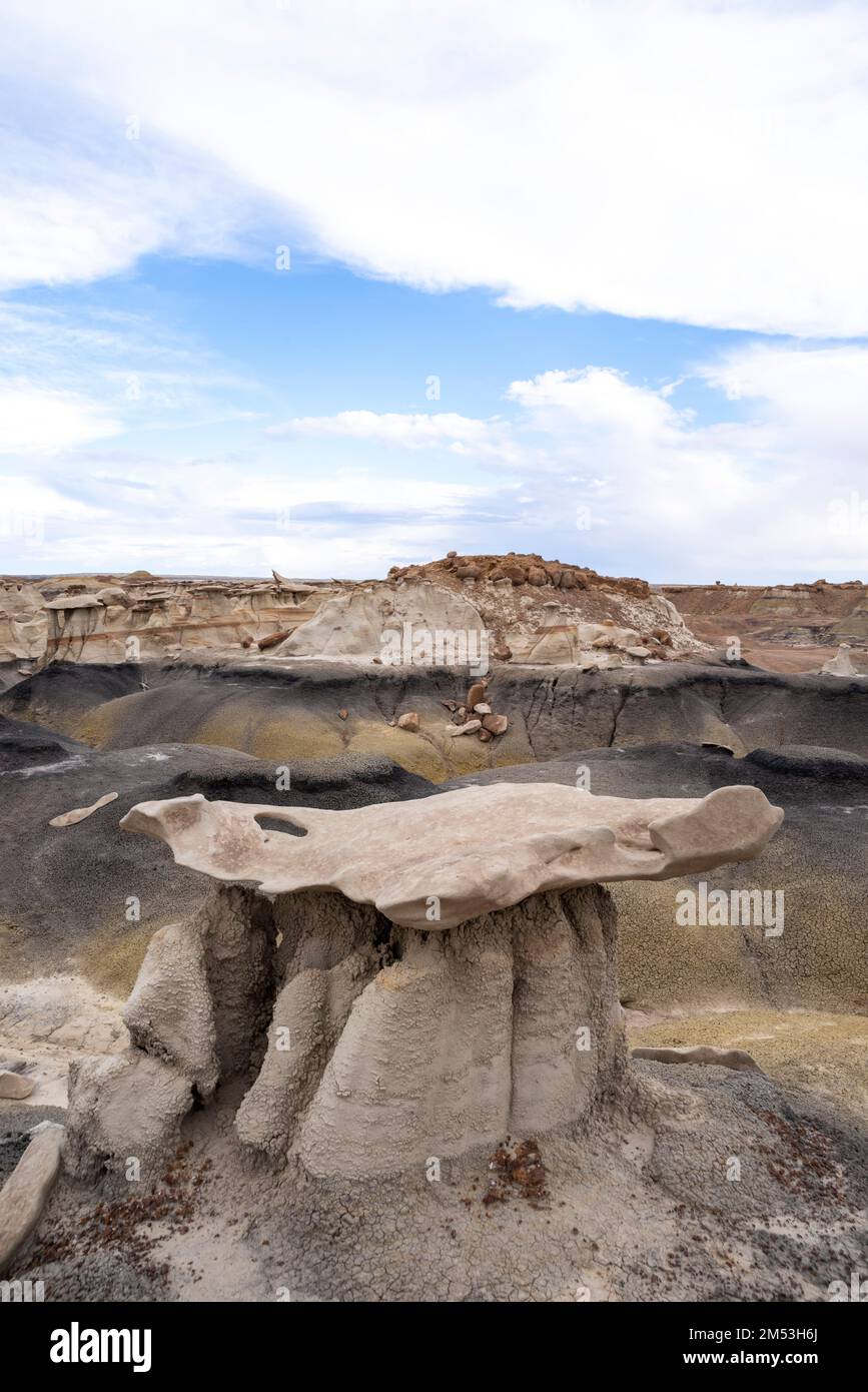 Photograph of the Bisti/De-Na-Zin Wilderness Area, a beautiful site of ...