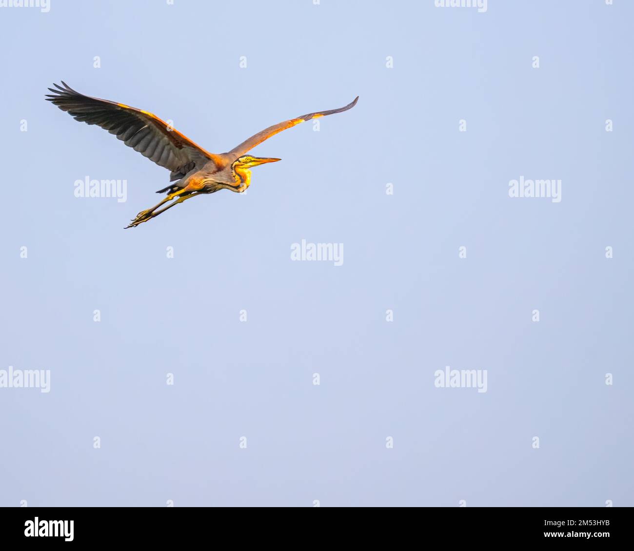 Flying mode hi-res stock photography and images - Alamy